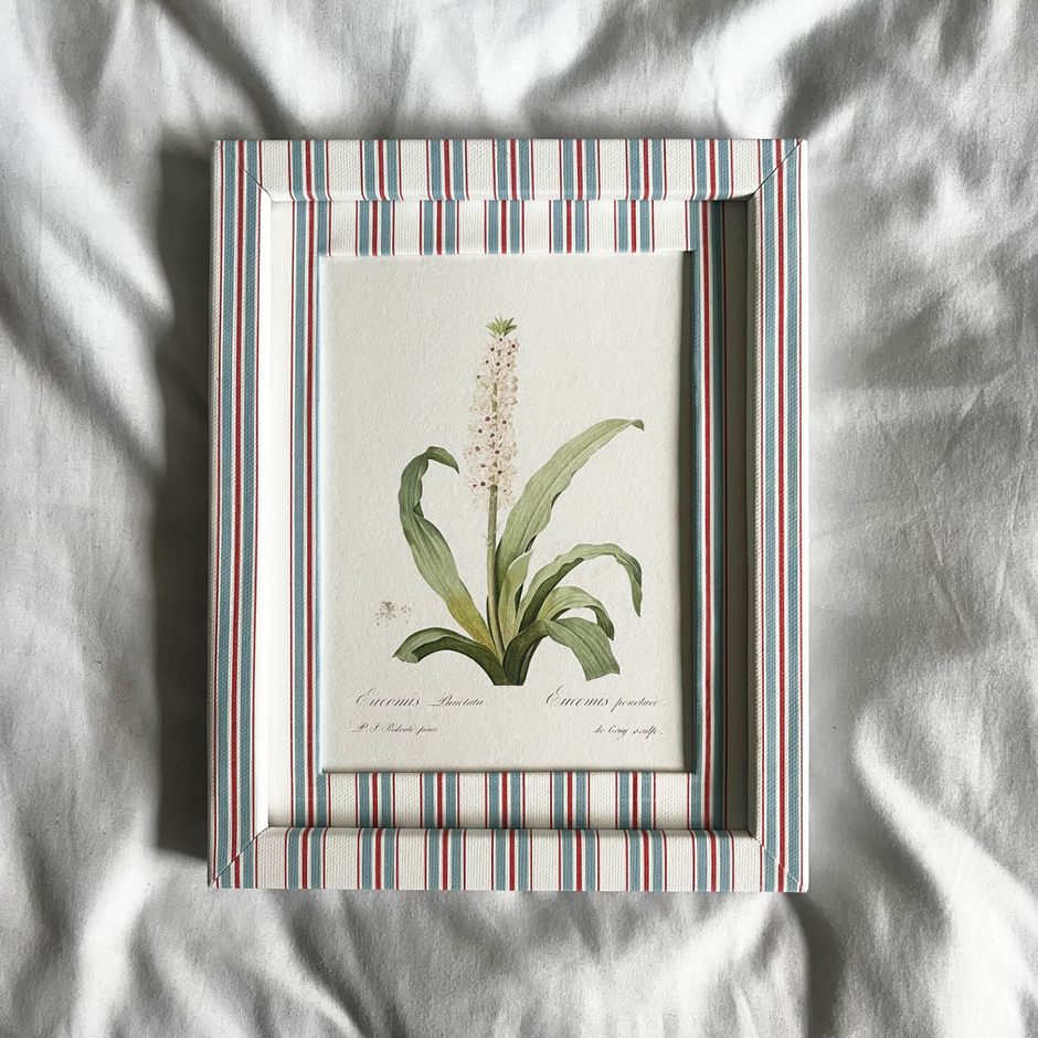 The Pia Frames | Modern Frames, Historic Prints