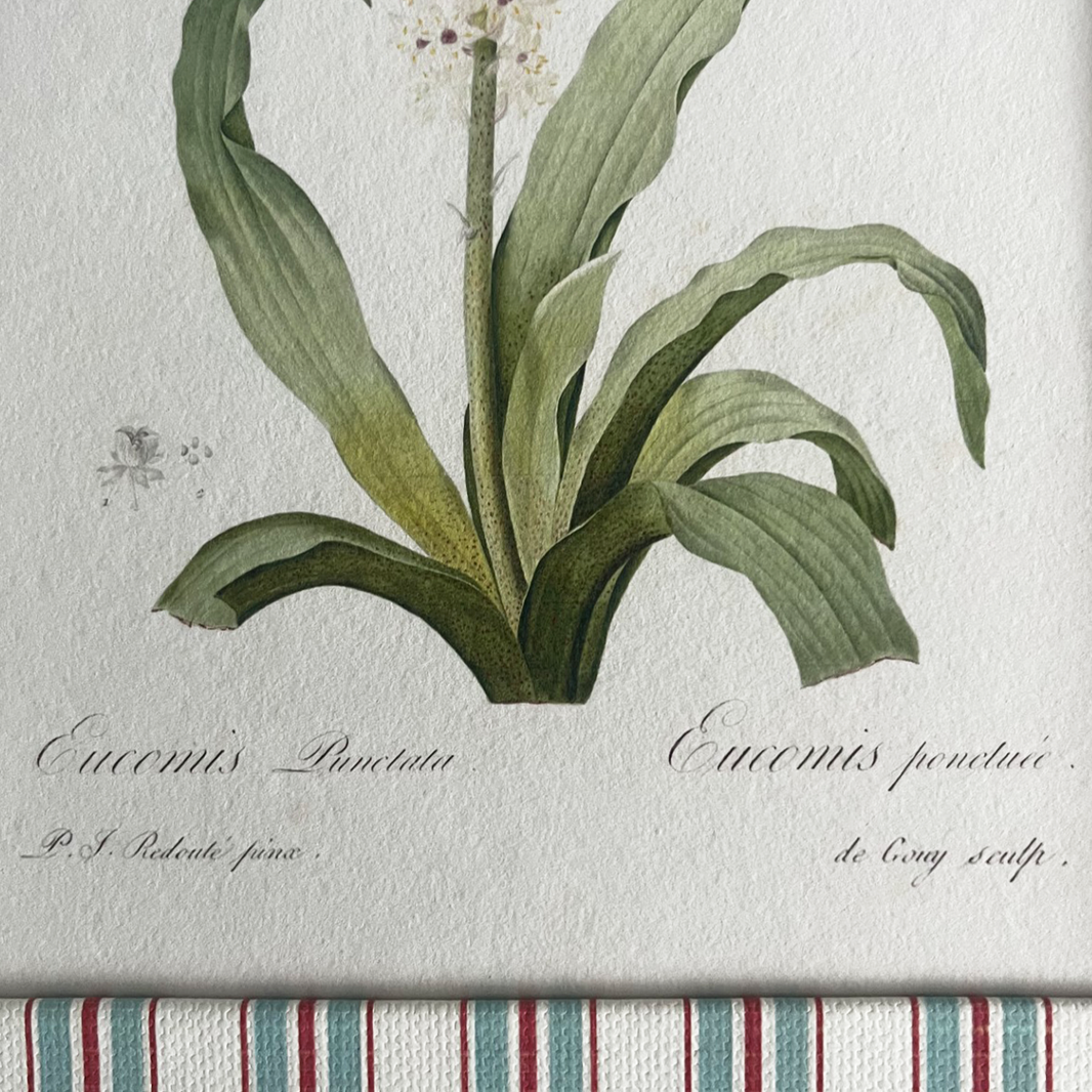 The Pia Frames | Modern Frames, Historic Prints