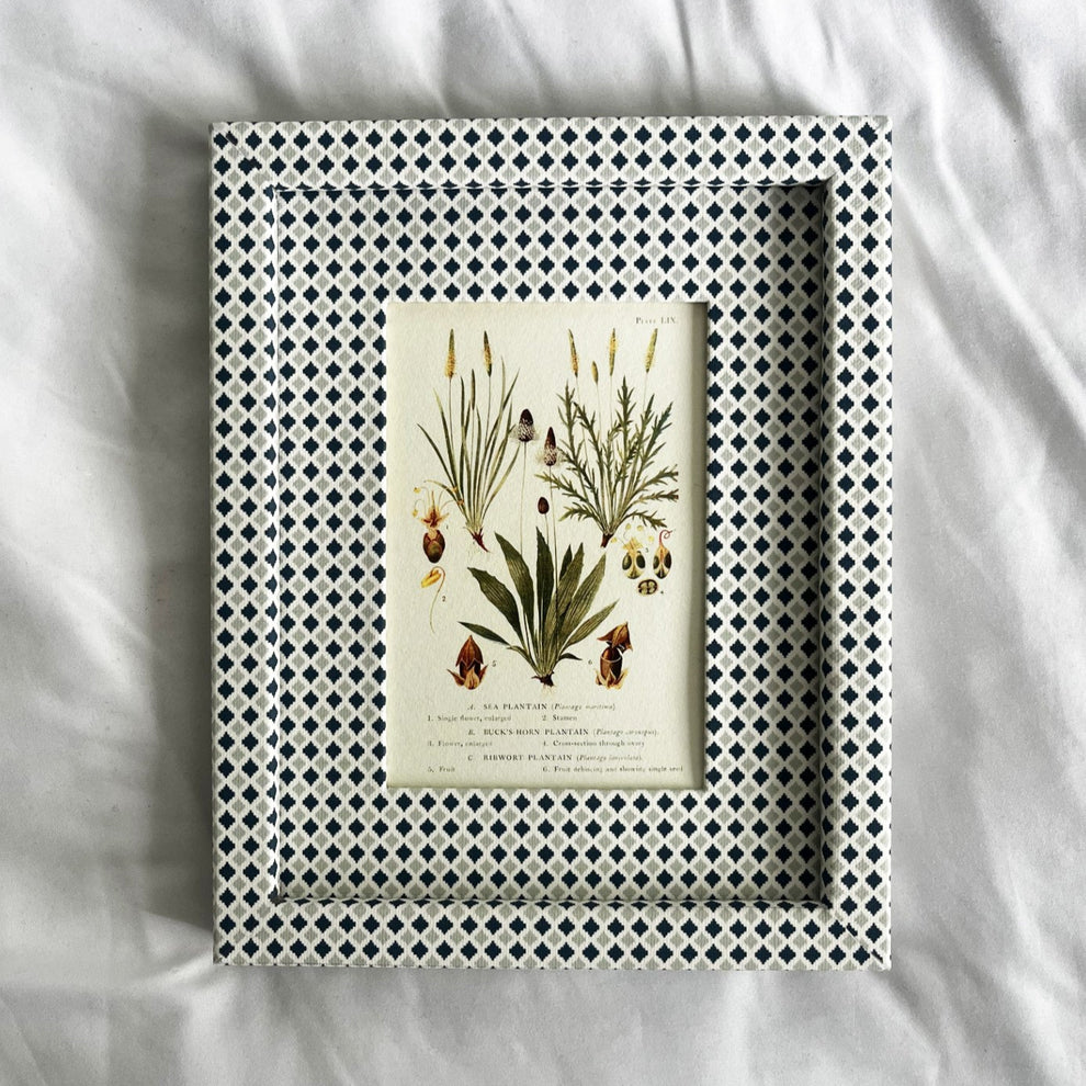 Plantago Print with Navy & Mist Blue Zellige Frame 10x8in – The Pia Frames